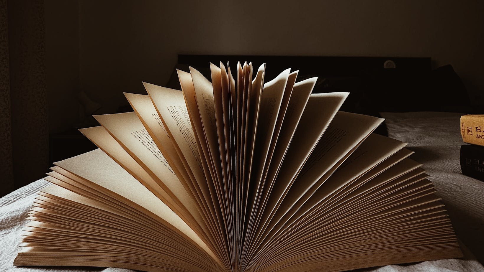 Exploring Literary Diversity: An Insightful Guide to its Synonyms ...